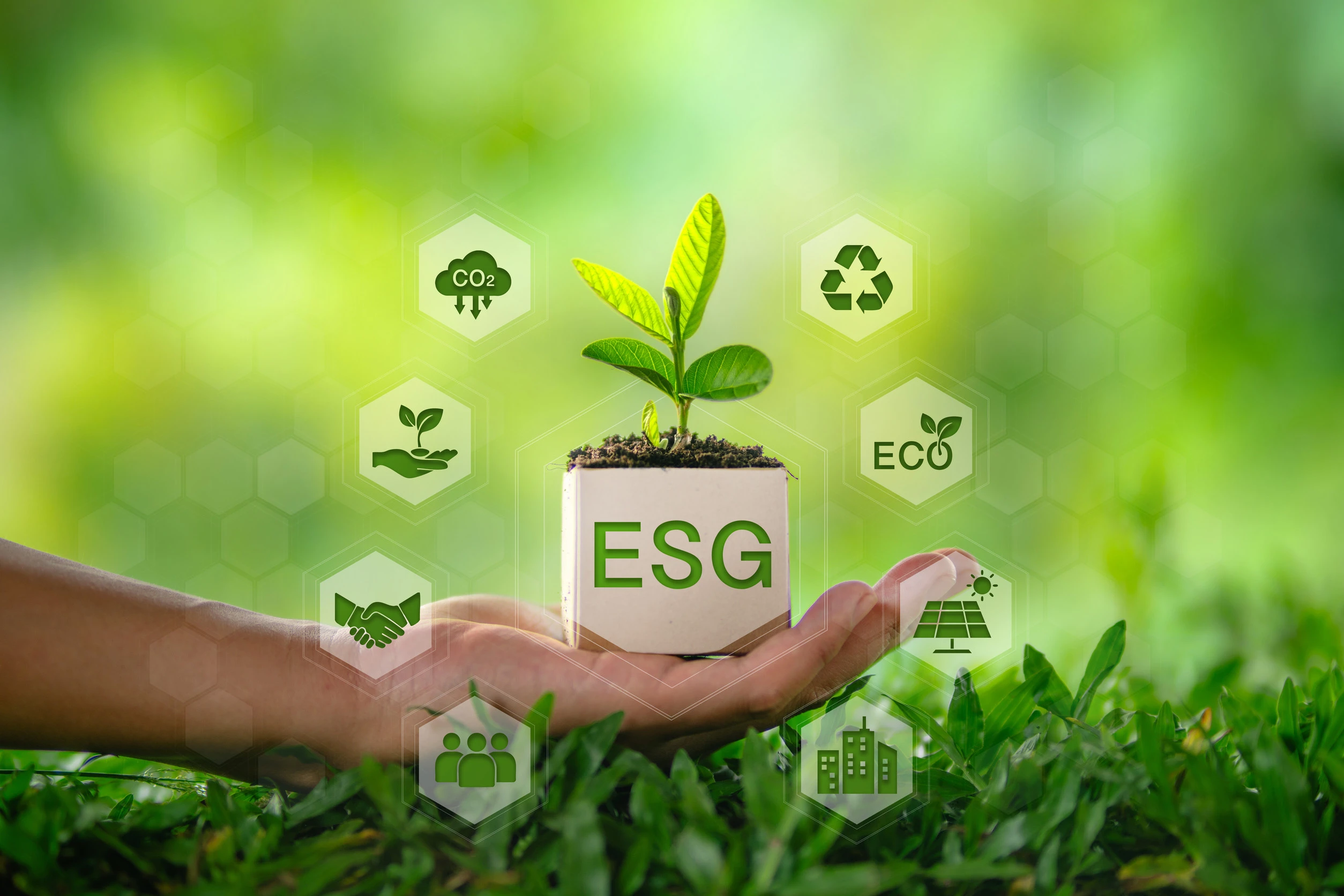 ESG Reporting & Assurance - Sustainability Proxsis Group
